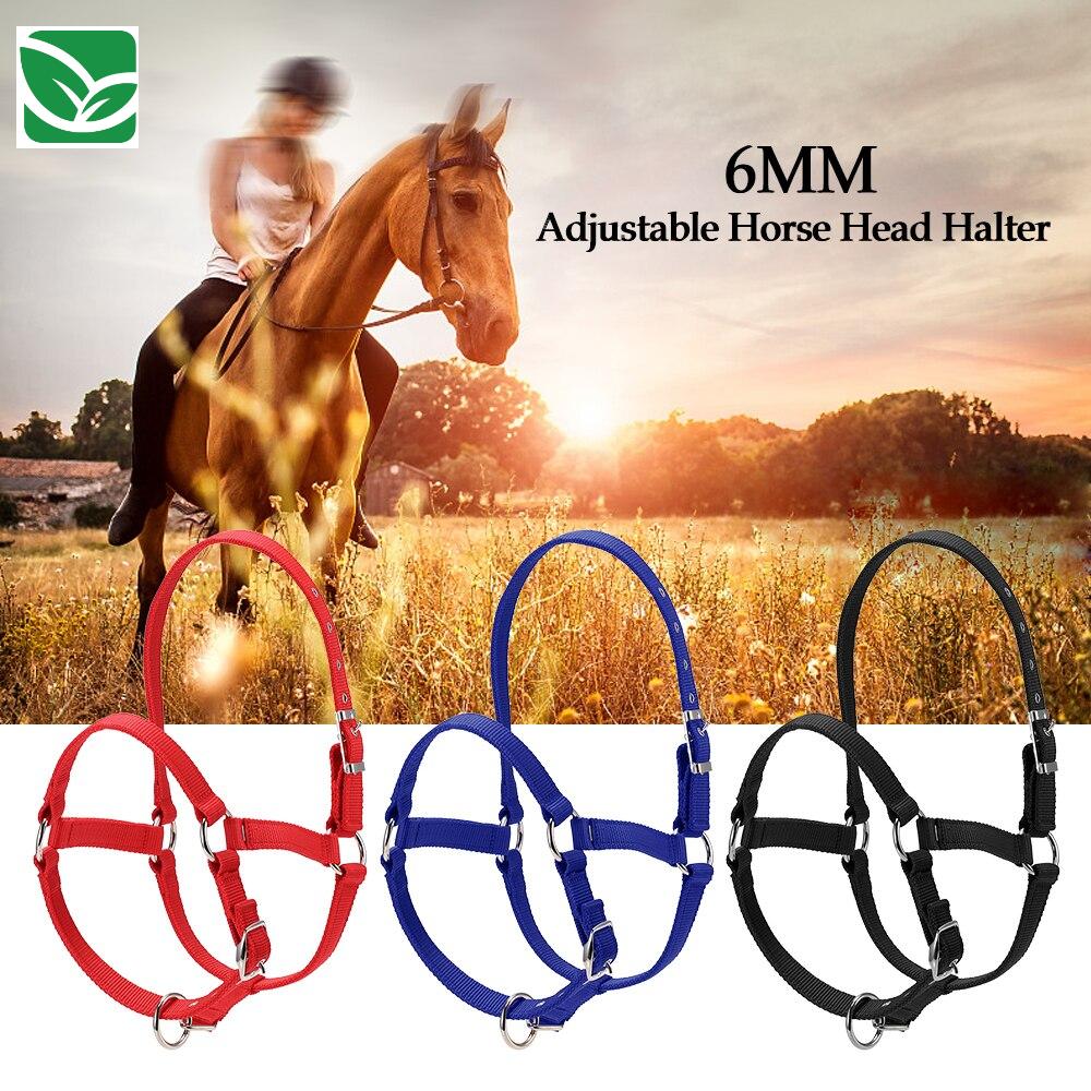 Brida para Caballos